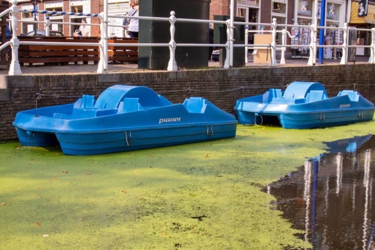Rederij Brands – stukje varen? Dat kan vandaag op de waterfiets ...